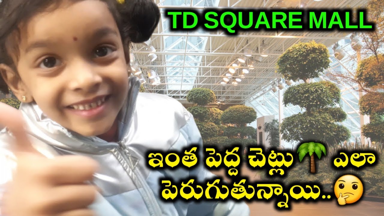 ఇంత పెద్ద చెట్లు🌴🌲🌱 ఇక్కడ ఎలా పెరుగుతున్నాయబ్బా..!🤔 | TD square Mall ...