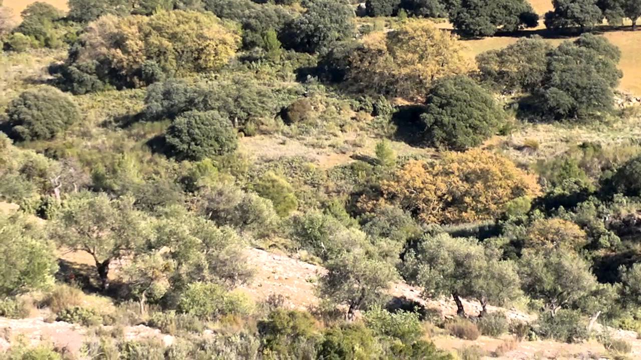 Bergara Scout 30.06 Bala RWS KS 167G - YouTube