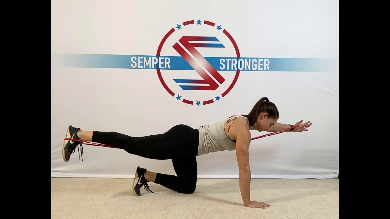 Banded Bird Dogs - YouTube