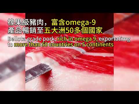 Beher——Iberico Pork From Spain 西班牙豬肉