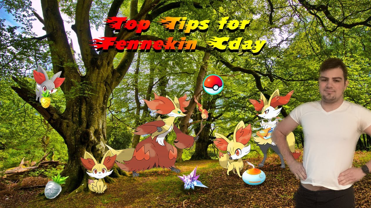 How to Prepare for a Fox Community Day - YouTube