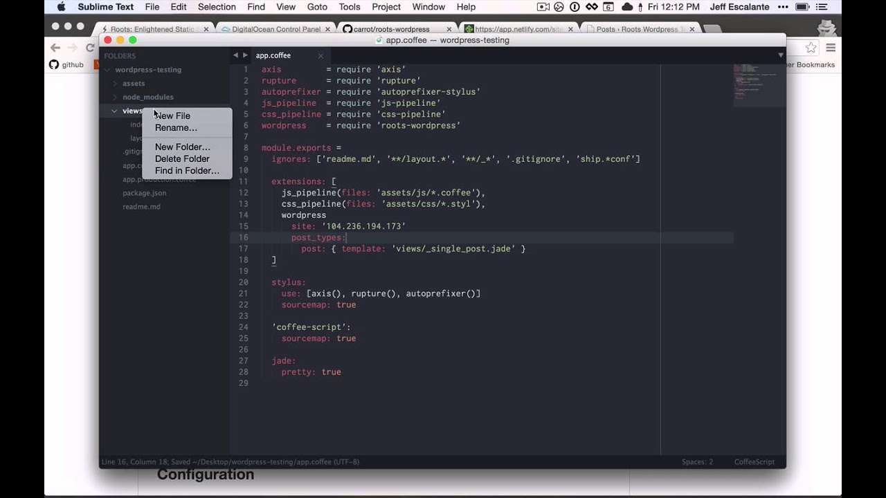 Making Wordpress Static with Roots - YouTube