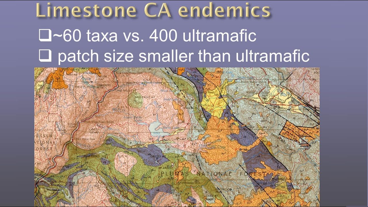 Limestone Endemics of the California Region - YouTube