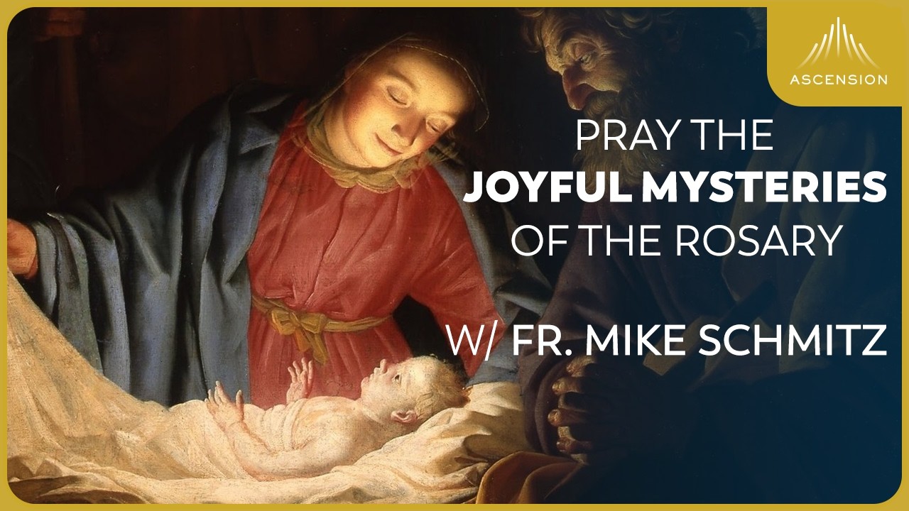 The Joyful Mysteries of the Rosary with Fr. Mike Schmitz (Sacred Art ...