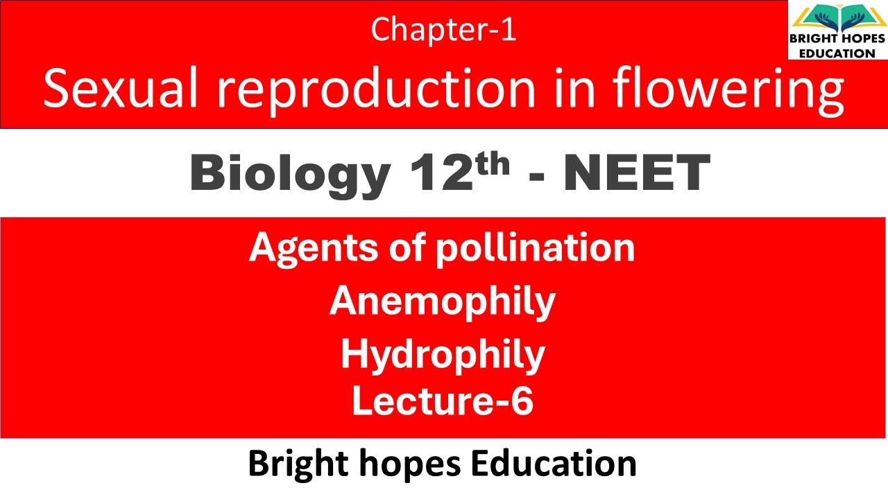 BIOLOGY(NCERT) ClASS-12, CH-1, L-6, SEXUAL REPRODUCTION IN FLOWERING ...
