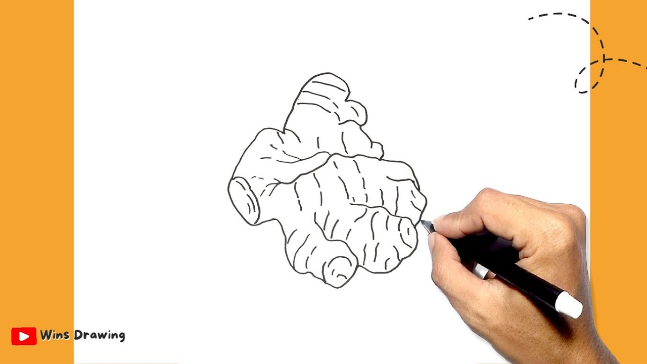 How to draw Ginger easy drawing - YouTube
