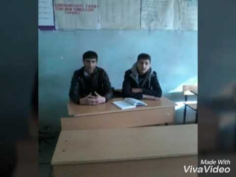 son zeng 2016( perinbel)