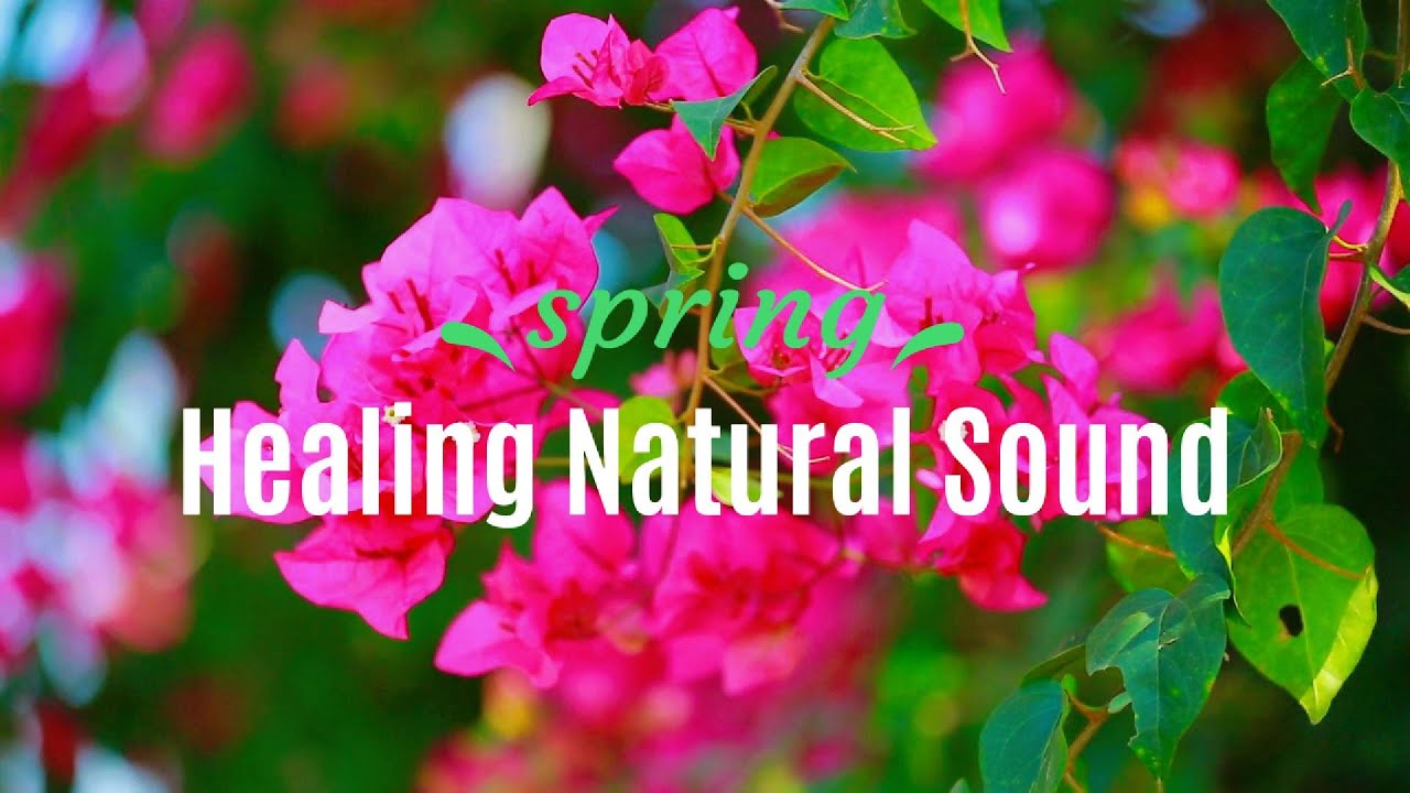 드라이브할때 듣는 음악,rest music, healing music, natural story music - YouTube