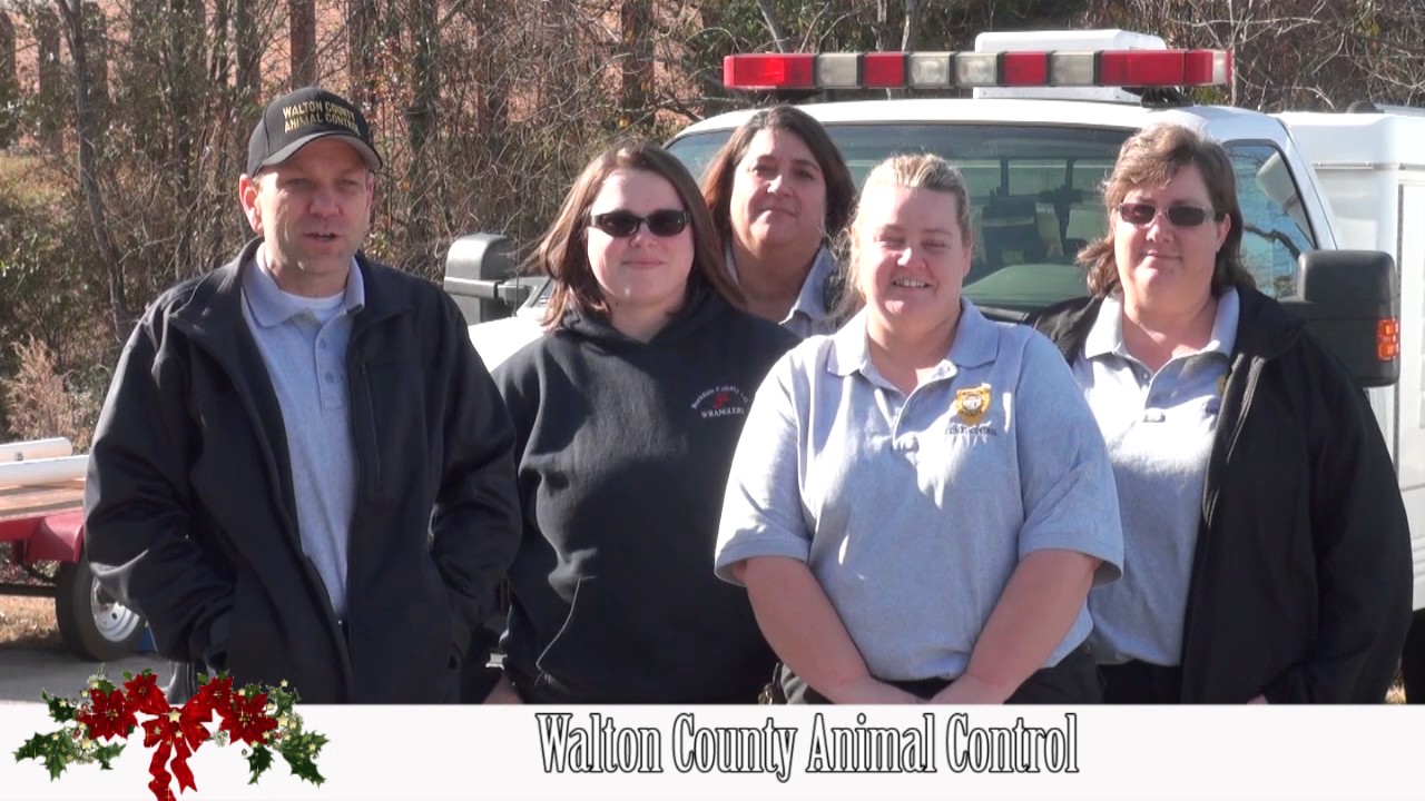 Walton County Animal Control Holiday greetings - YouTube
