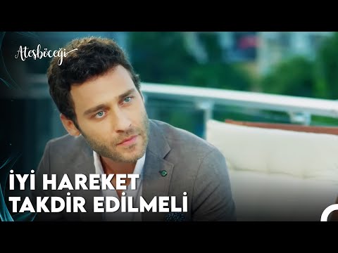 Barış, Gördüklerine ve Duyduklarına İnanamadı - Ateşböceği 3. Bölüm