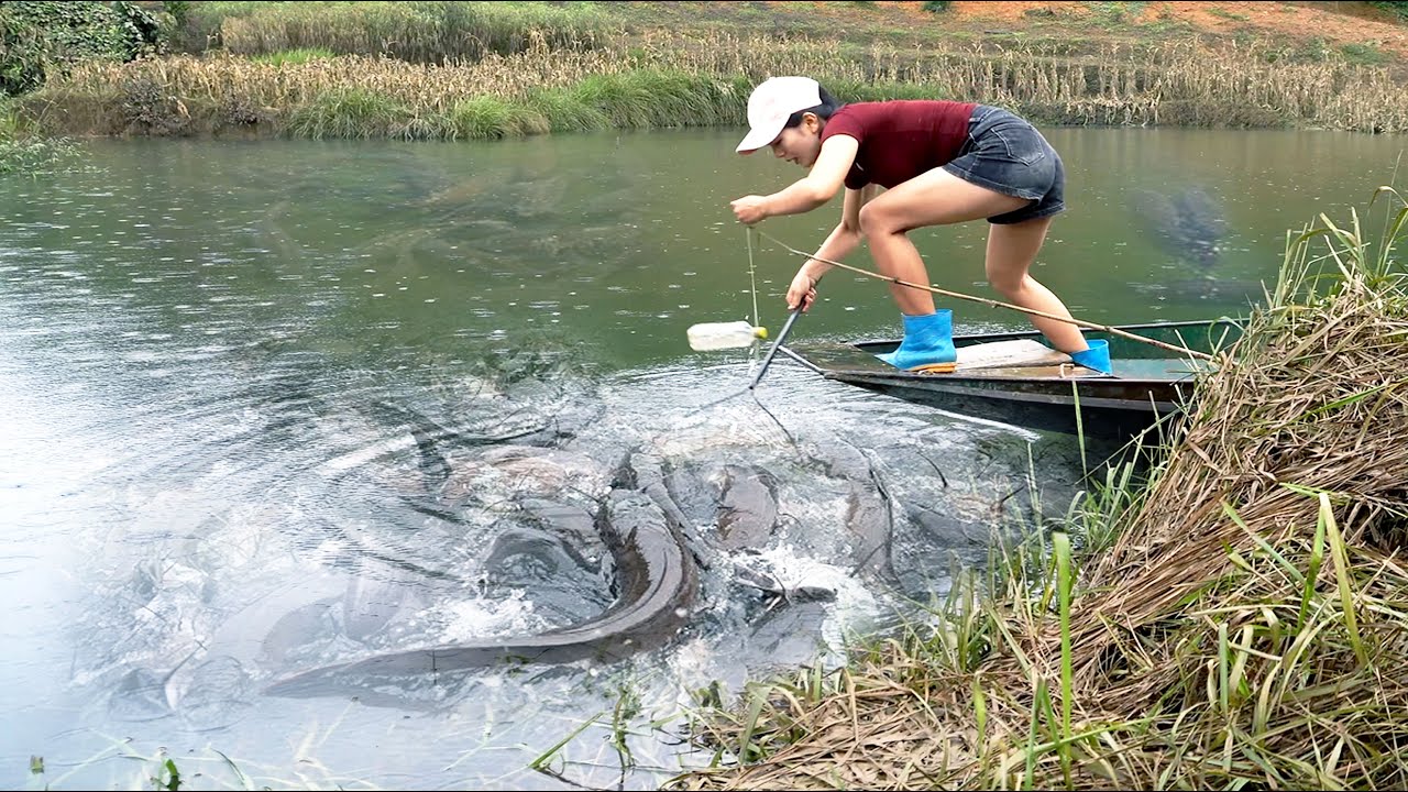 Fishing Skills on a Rainy Day-Single Mother Uses Traditional Fishing ...