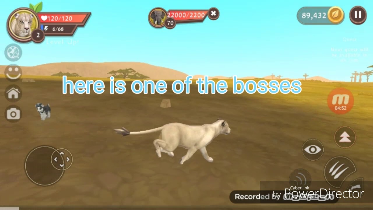 Lions are here in wildcraft - YouTube