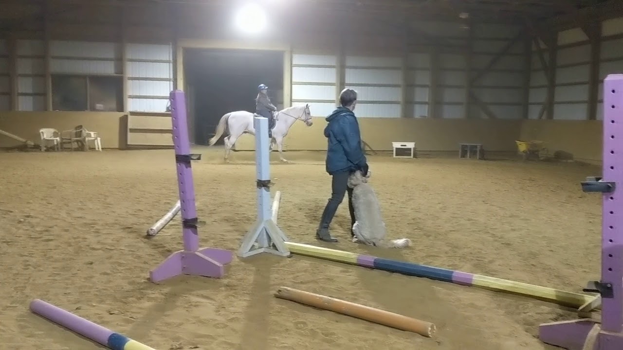 Merkel Farm Equestrian Center For Sale - Skies of Blue - YouTube