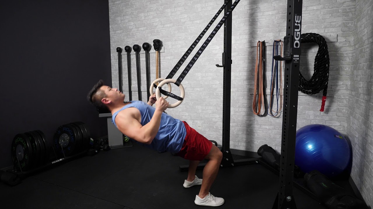 Suspension Inverted Row - YouTube