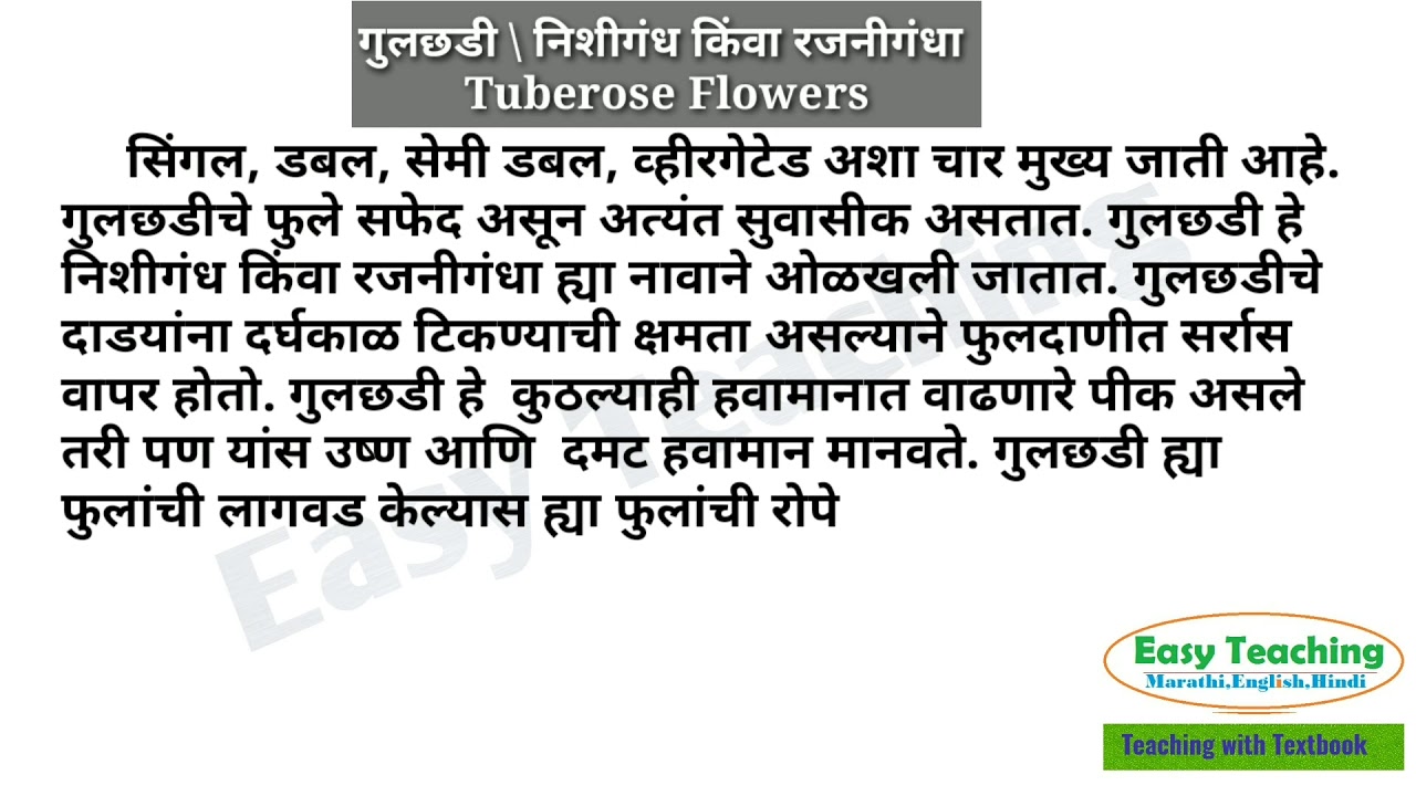 गुलछडी / निशीगंध / रजनीगंधा | ( Tuberose Flowers) | Information of of ...