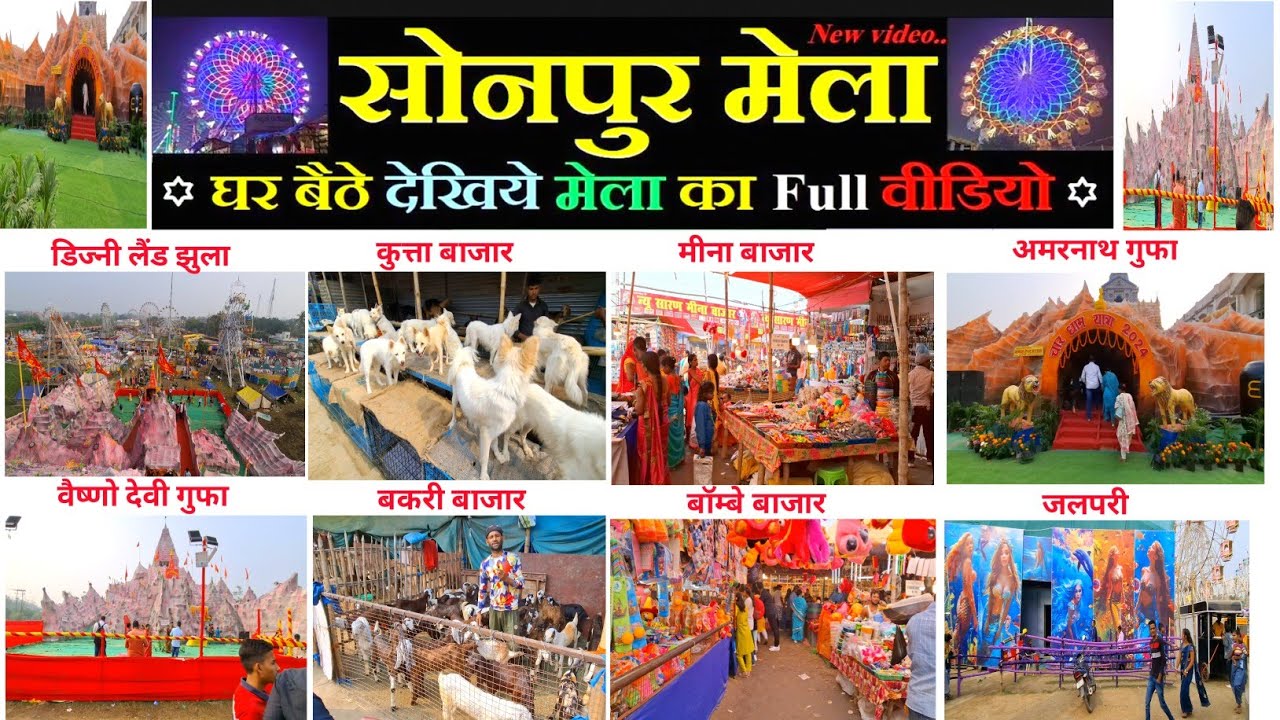 Sonpur mela 2024 |Sonpur mela New Video |Horse Market |Theater |Dog ...