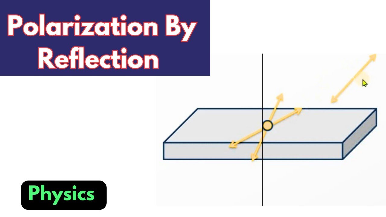 Polarization By Reflection | Physics - YouTube