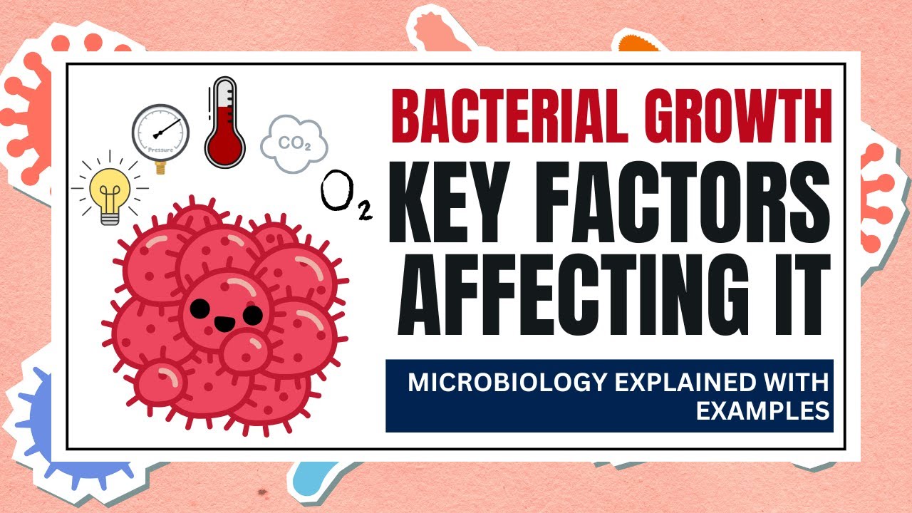 Bacterial Growth & Key Factors Affecting It | Microbiology Explained ...