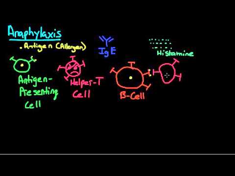 Anaphylaxis- Pathophysiology - YouTube