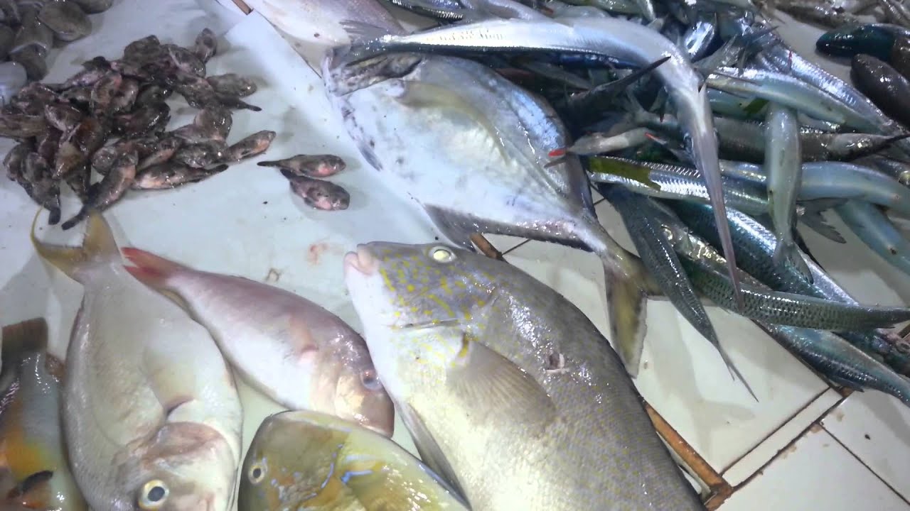 Buying fish at the market in Bantayan - YouTube