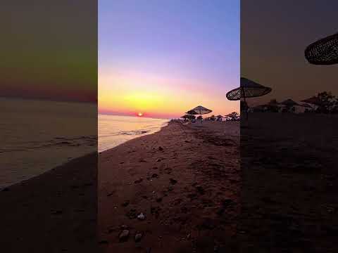 DURUM VIDEOLARI 50 DENIZ KENARI GÜN BATIMI 4K UHDR