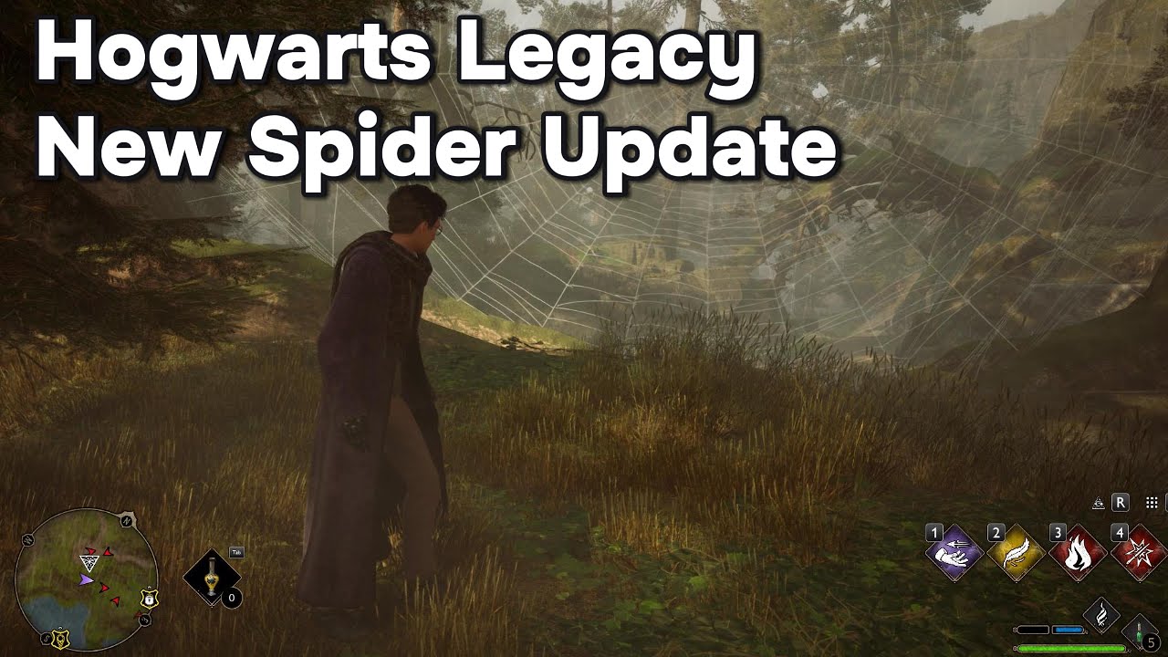 Hogwarts Legacy New Spider Update - YouTube