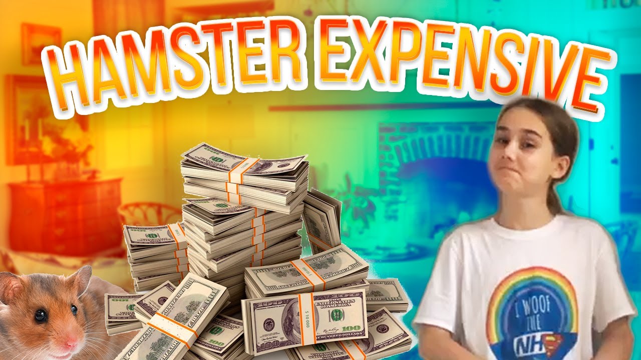 🐹 Hamster expensive - YouTube