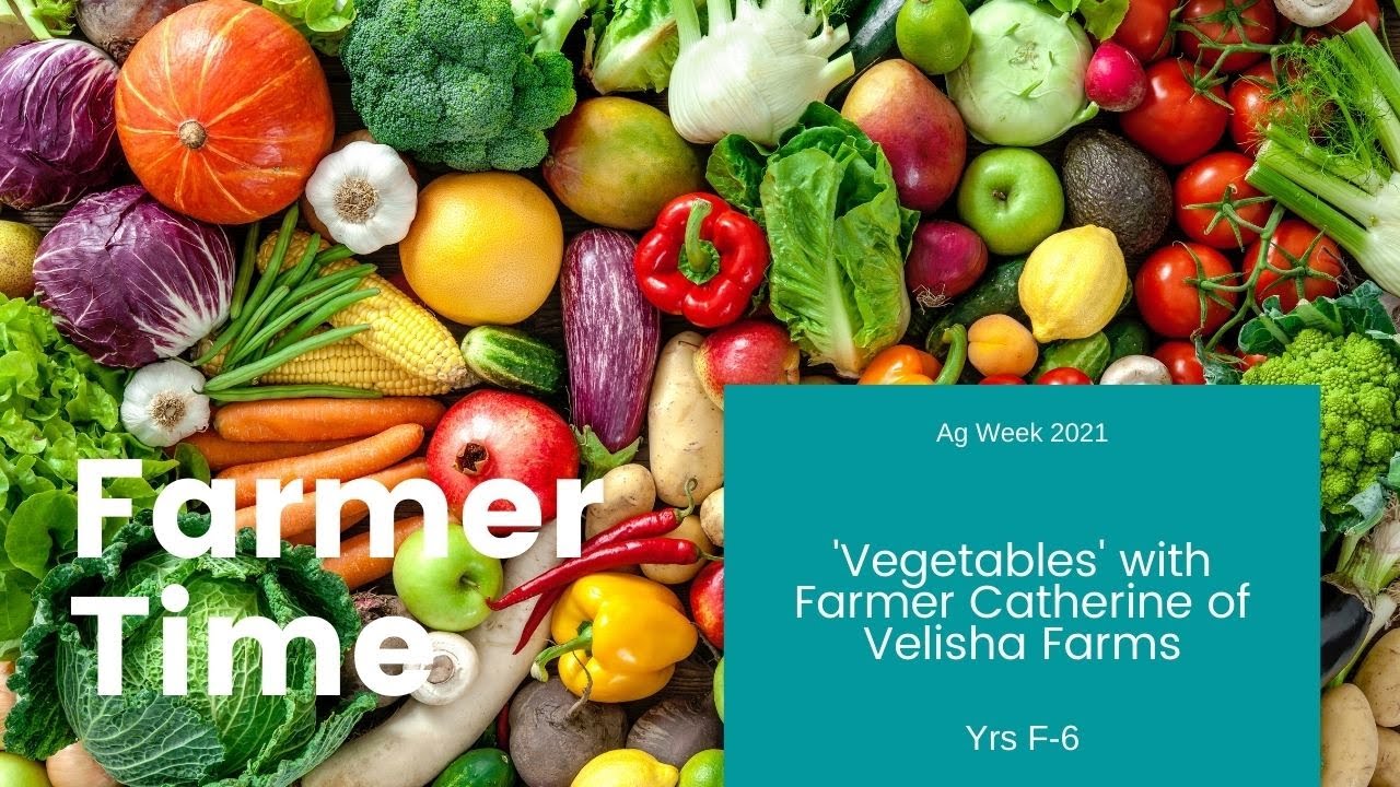 'Vegetables' with Farmer Catherine of Velisha Farms - Yrs 5/6 - YouTube