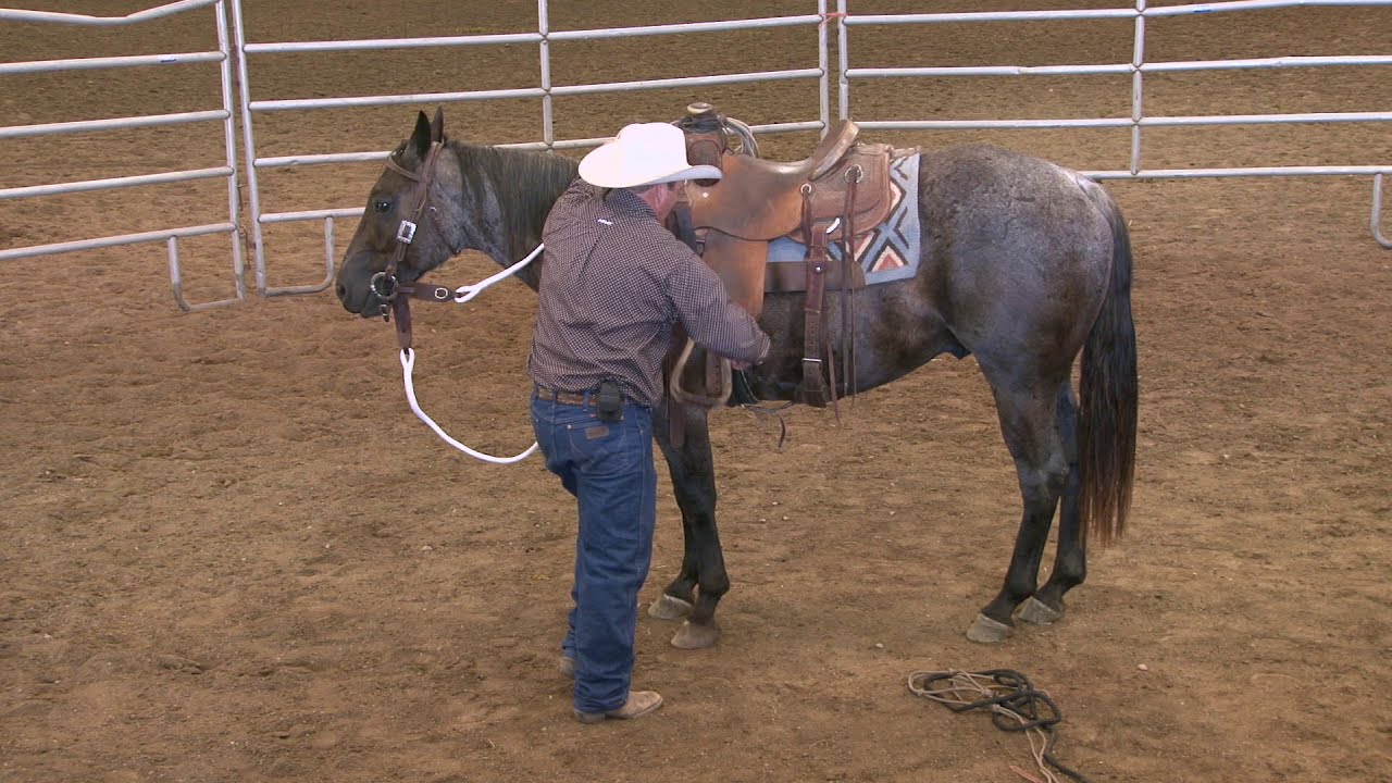 Colt Starting Principles (Part 2) - YouTube