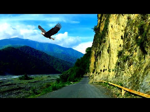 ZAQATALA _ Qəbizdərə Kəndi