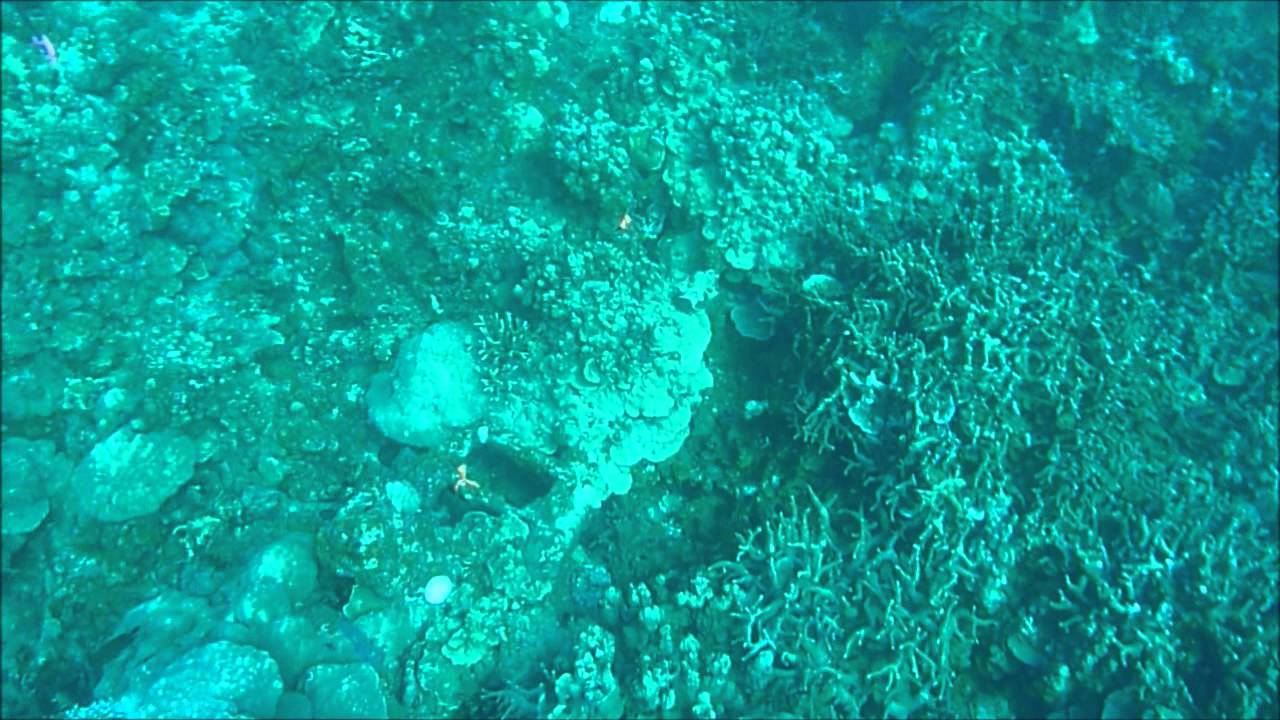 Jake seaplane, Palau - YouTube