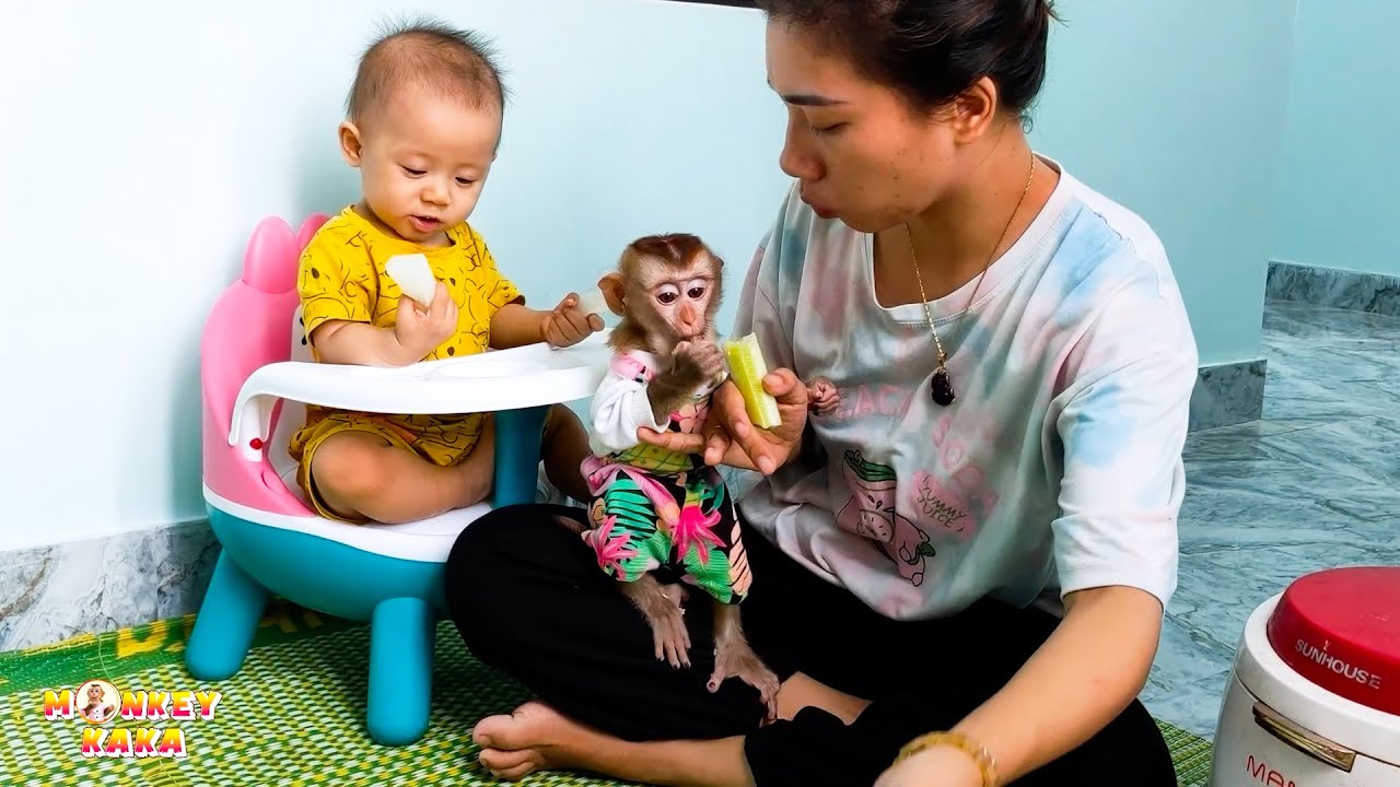 How Monkey Kaka was pampered by her Mom when her was a child - YouTube