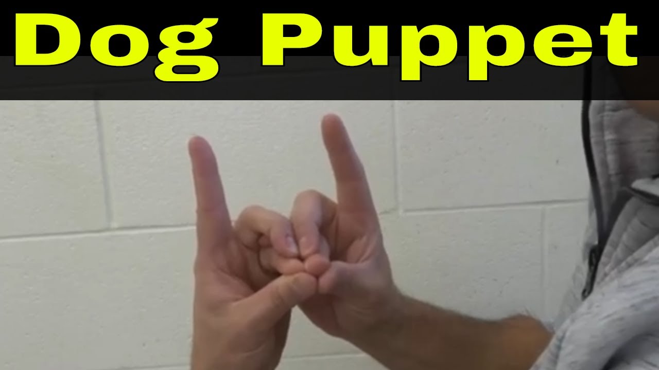 How To Make A Dog Puppet With Your Hands Full Tutorial YouTube How To Make A Dog Puppet With Your Hands Full Tutorial YouTube