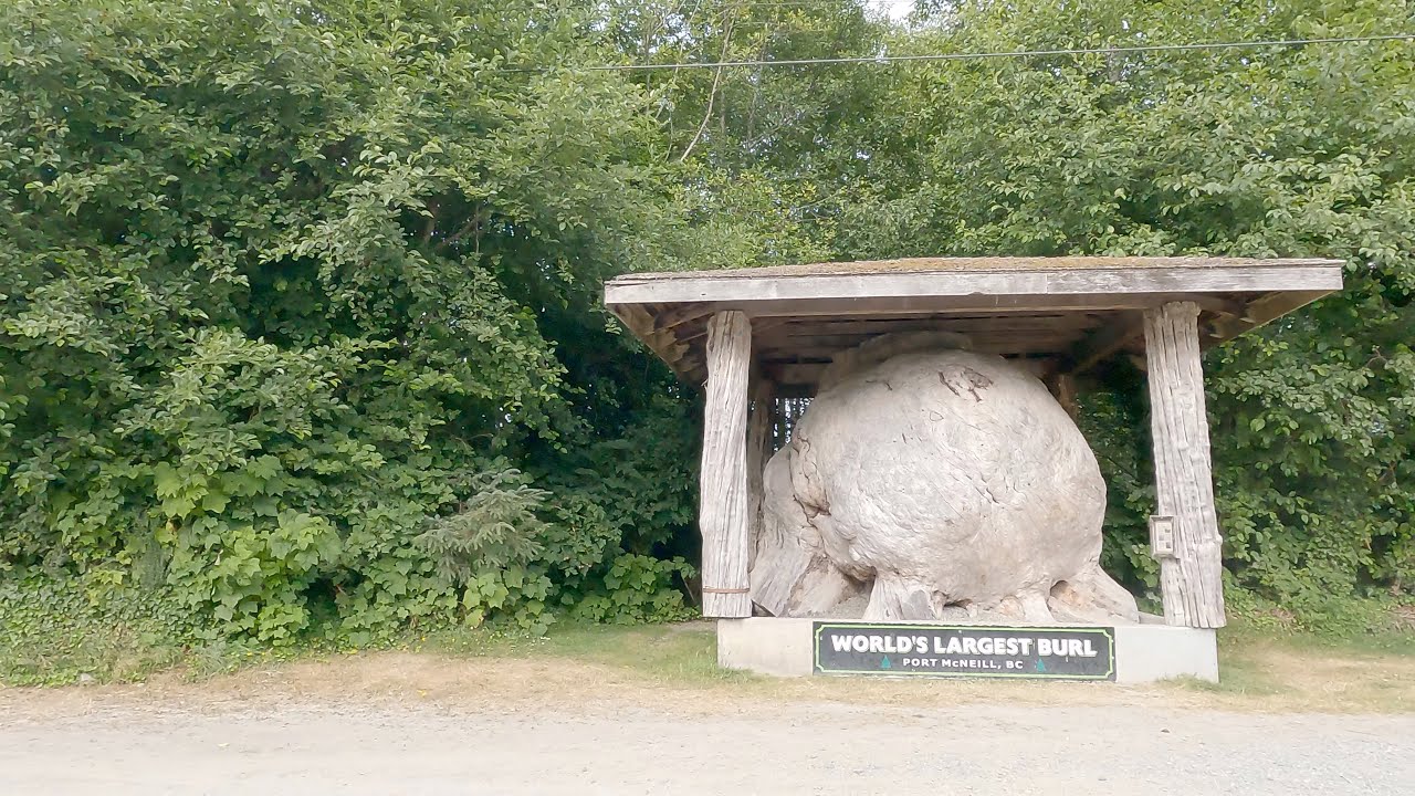 World's Largest BURL & Port McNeill BC Canada - Driving Tour. Town in ...