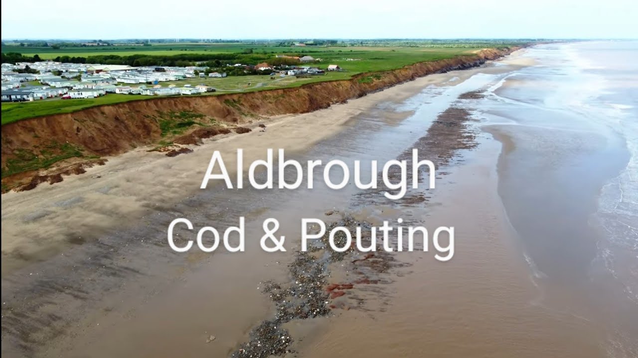 Cod and Pouting @ Aldbrough - Holderness Coast - YouTube