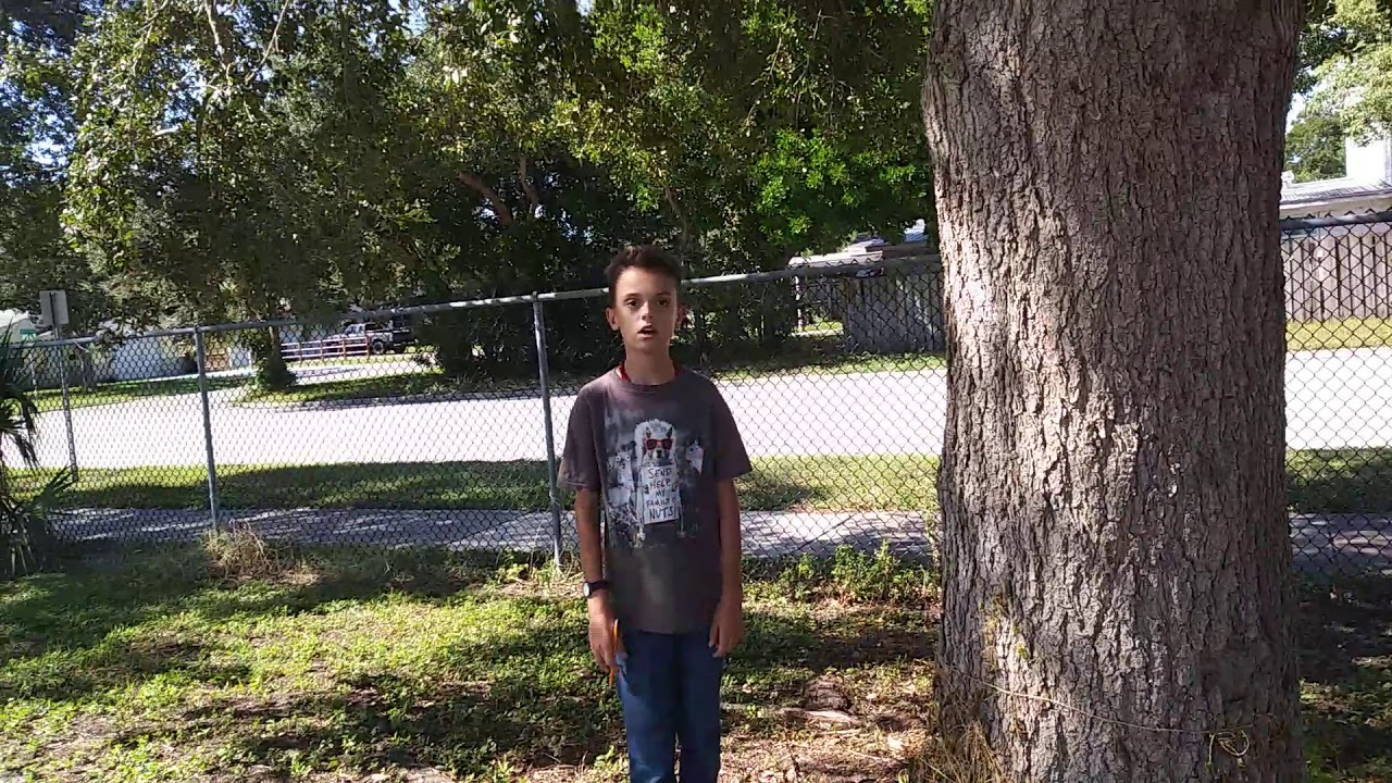 The crazed man prophesies - YouTube