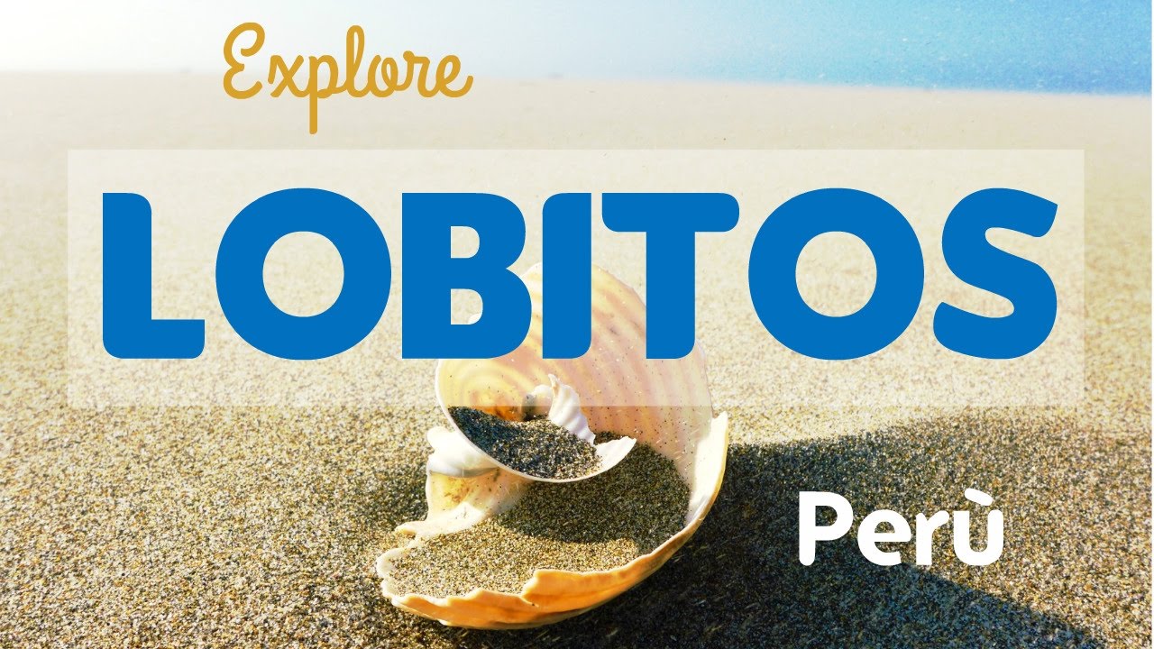 LOBITOS - PERU' | THE BEST SURF IN SOUTH AMERICA! 🌊 - YouTube