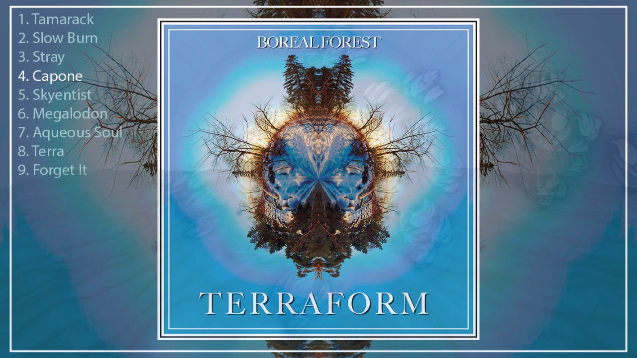 Terraform - Boreal Forest (Full Album) [2017] - YouTube