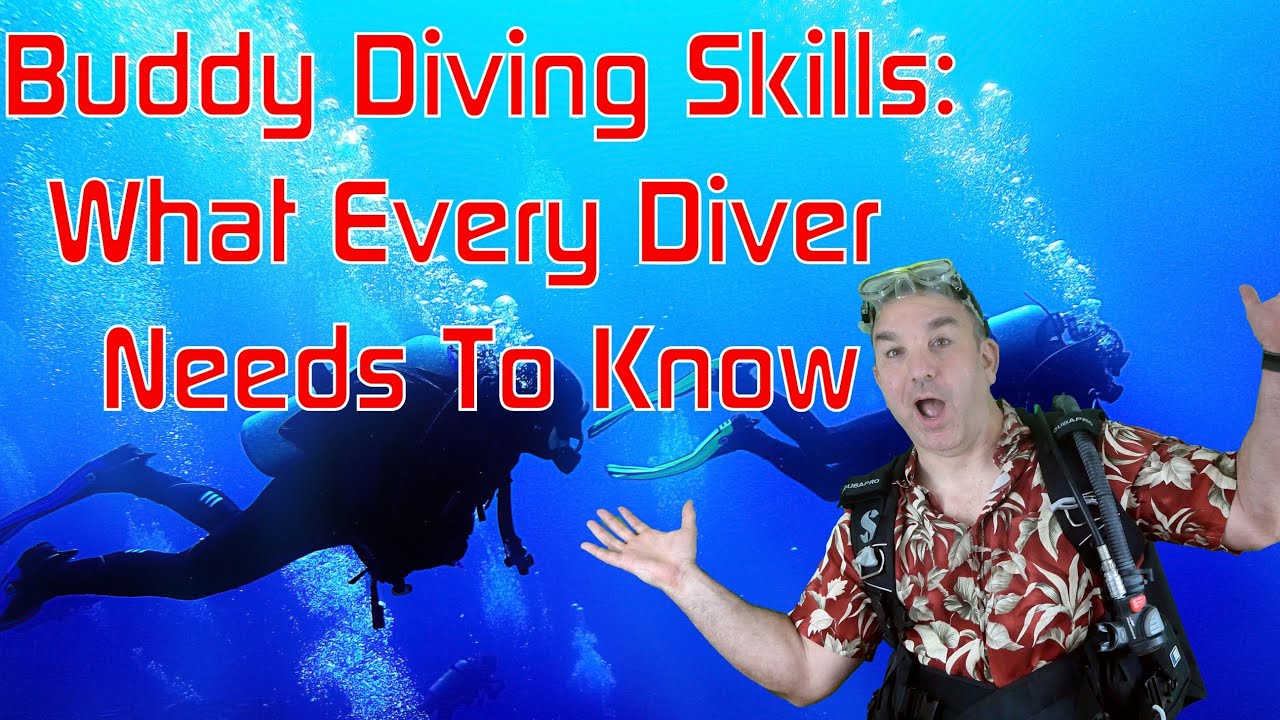 The Ultimate Guide to Buddy Diving And The Buddy System: Everything You ...