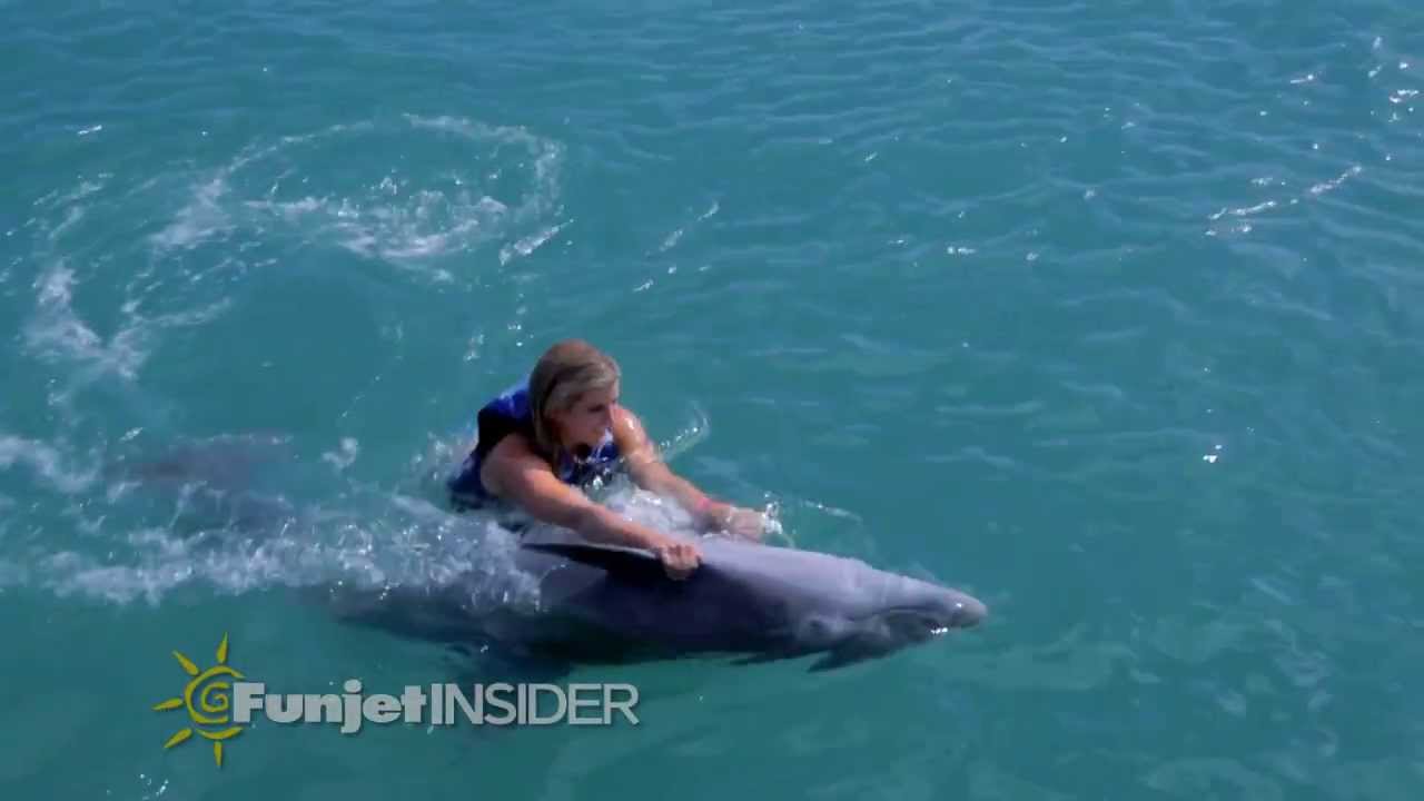 Dolphin Explorer from Island Sun Experience - YouTube