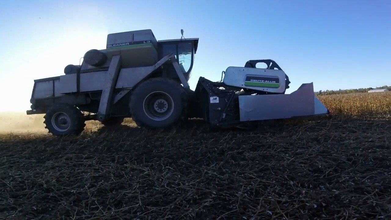 Combining Soybeans with Gleaner L3! - YouTube