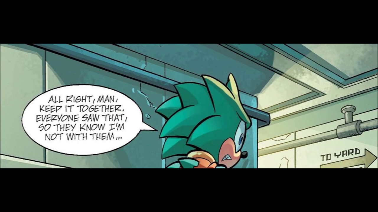 Newbie's Perspective: Sonic Universe Issue 29 Review - YouTube