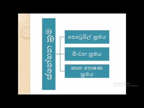 AL Engineering Technology Lesson - YouTube