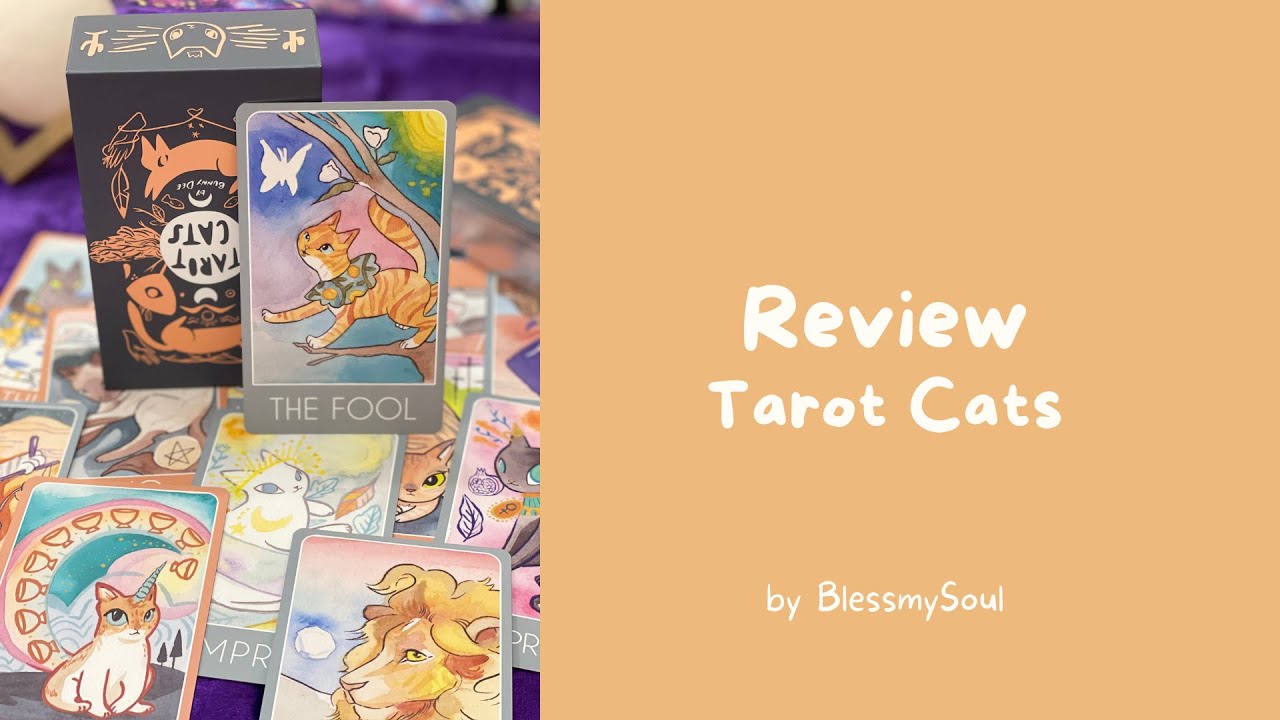 Review cat tarot : รีวิวไพ่ทาโรต์ ทาสแมว ไม่มีไม่ได้แล้ว พร้อมการ ...