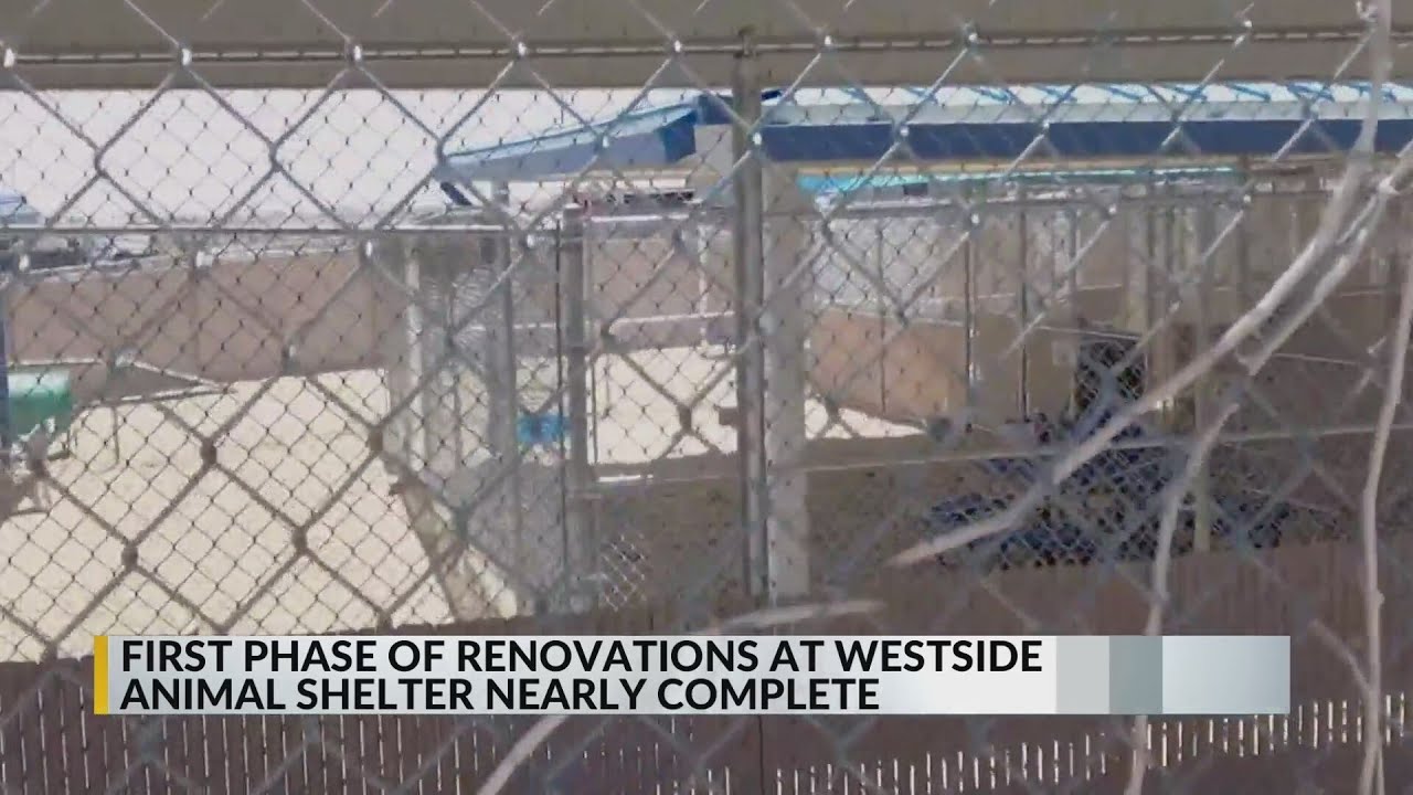 Westside Animal Shelter Albuquerque 1