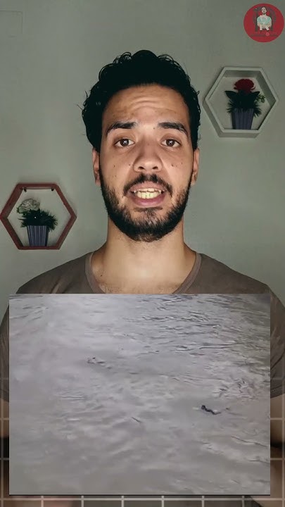 مطاردة مثيرة لمجرم هارب من الشرطة Youtube