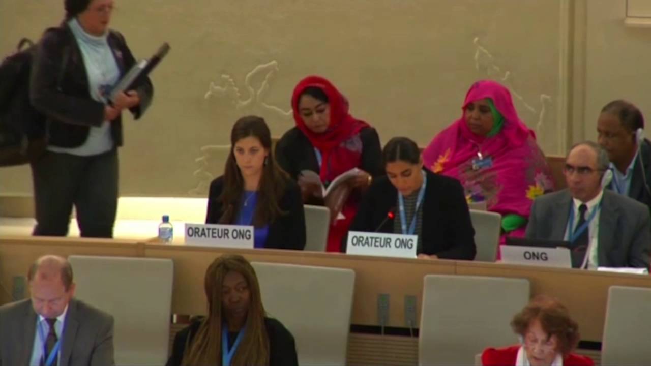 HRC33: Interactive dialogue with the Independent Expert on Sudan ...