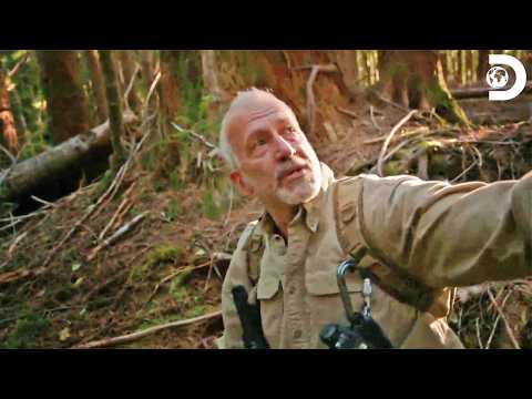 The Closest They've Ever Come to Bigfoot | Expedition Bigfoot S2 E12 | Discovery Channel India