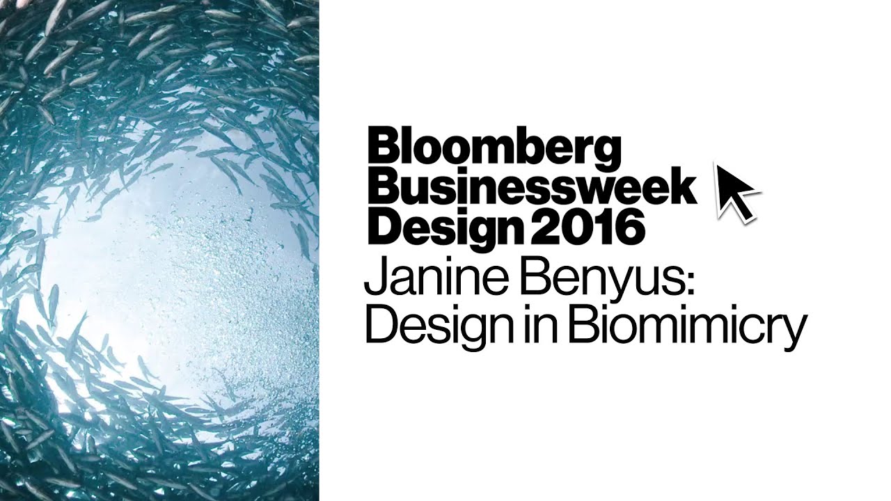 Bloomberg Businessweek Design Conference: Design in Nature - YouTube