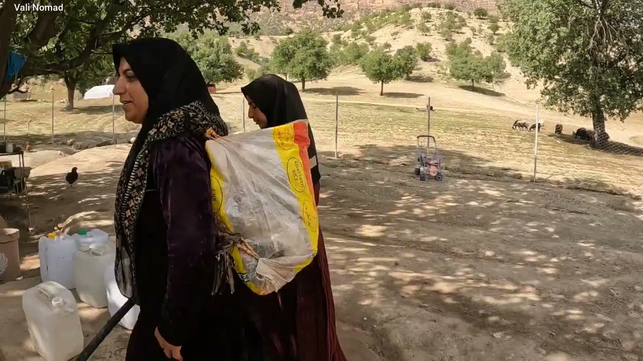 "The Sad Incident of Nazanin and the Indifference of Ishaq, the Callous ...